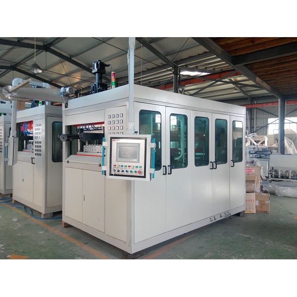 China Cup Forming Line Factory, Suppliers and Manufacturers - Litai ...